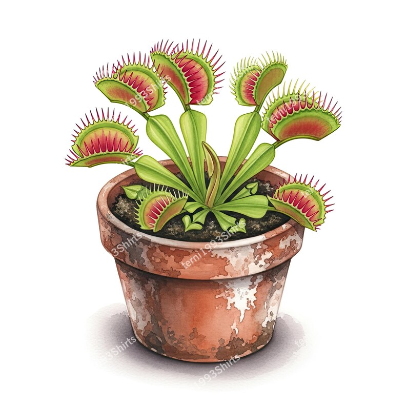 10 Carnivorous Plants Watercolor Clipart JPG Bundle - Plant ...