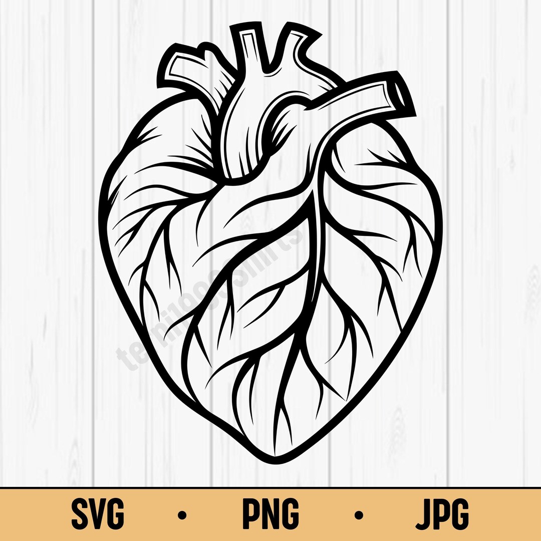 Anatomical Heart SVG PNG – Black Line Art Human Heart Clipart, Tattoo ...