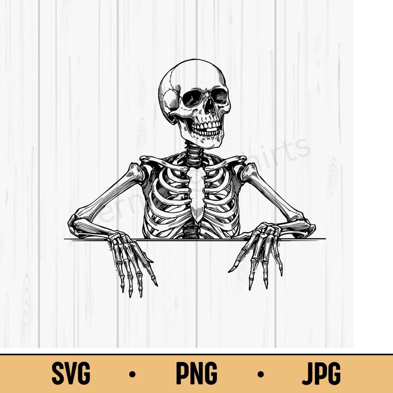 Skeleton Peeking SVG PNG JPG – Creepy Human Skeleton Drawing, Horror ...