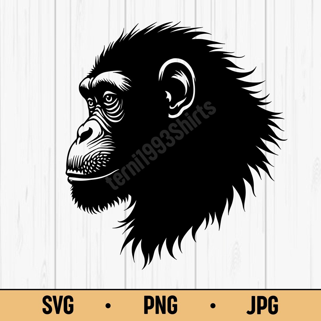 Chimpanzee Head Silhouette SVG PNG JPG – Detailed Primate Profile ...