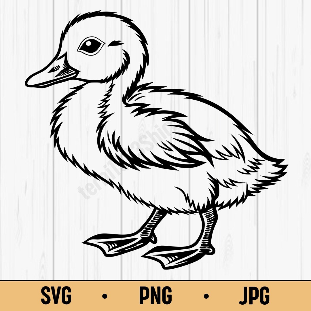 Vintage Duckling SVG PNG – Detailed Baby Duck Clipart in Black Line Art ...