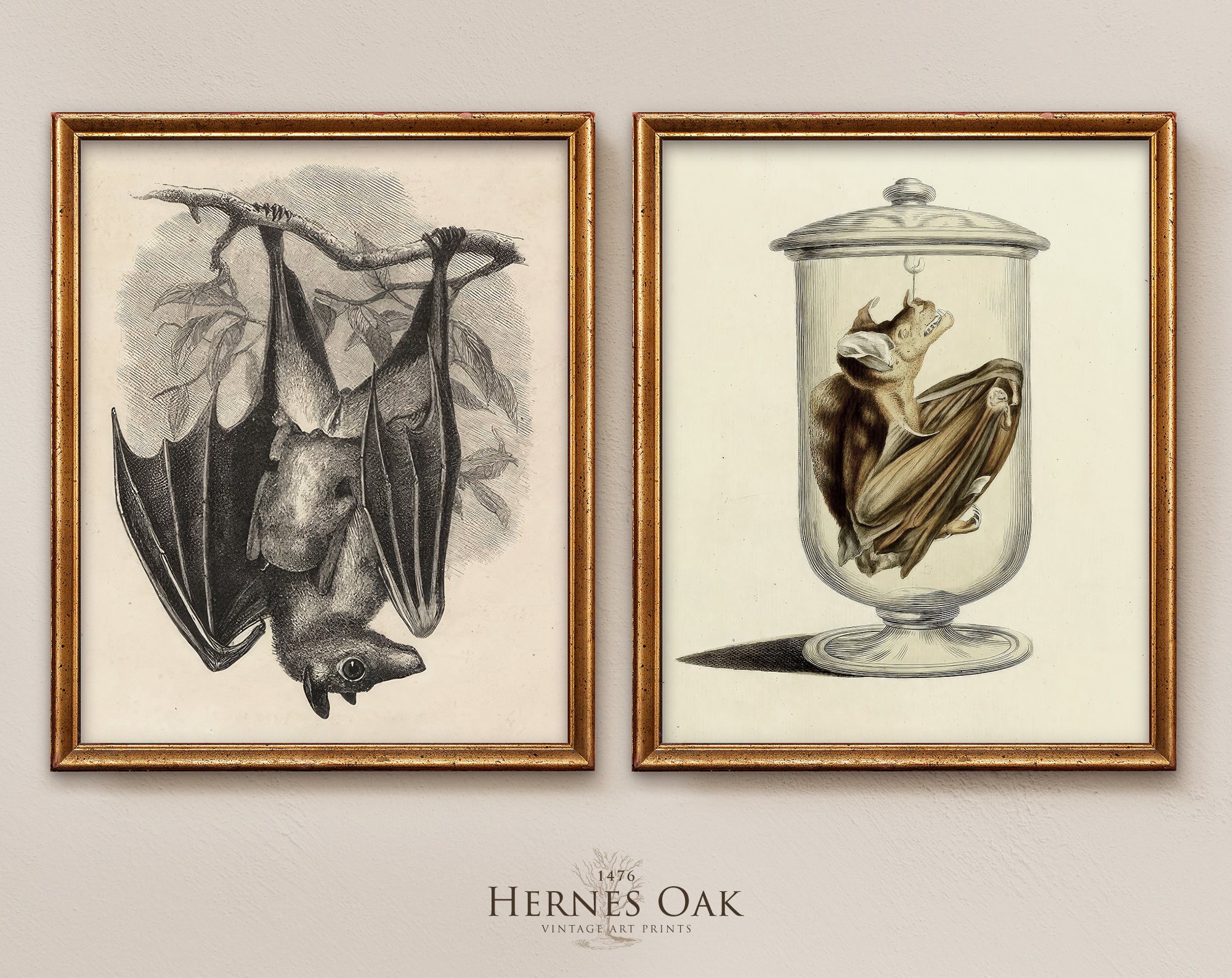 Vintage Bat Print Set, Gallery Wall Art, Dark Academia (digital ...