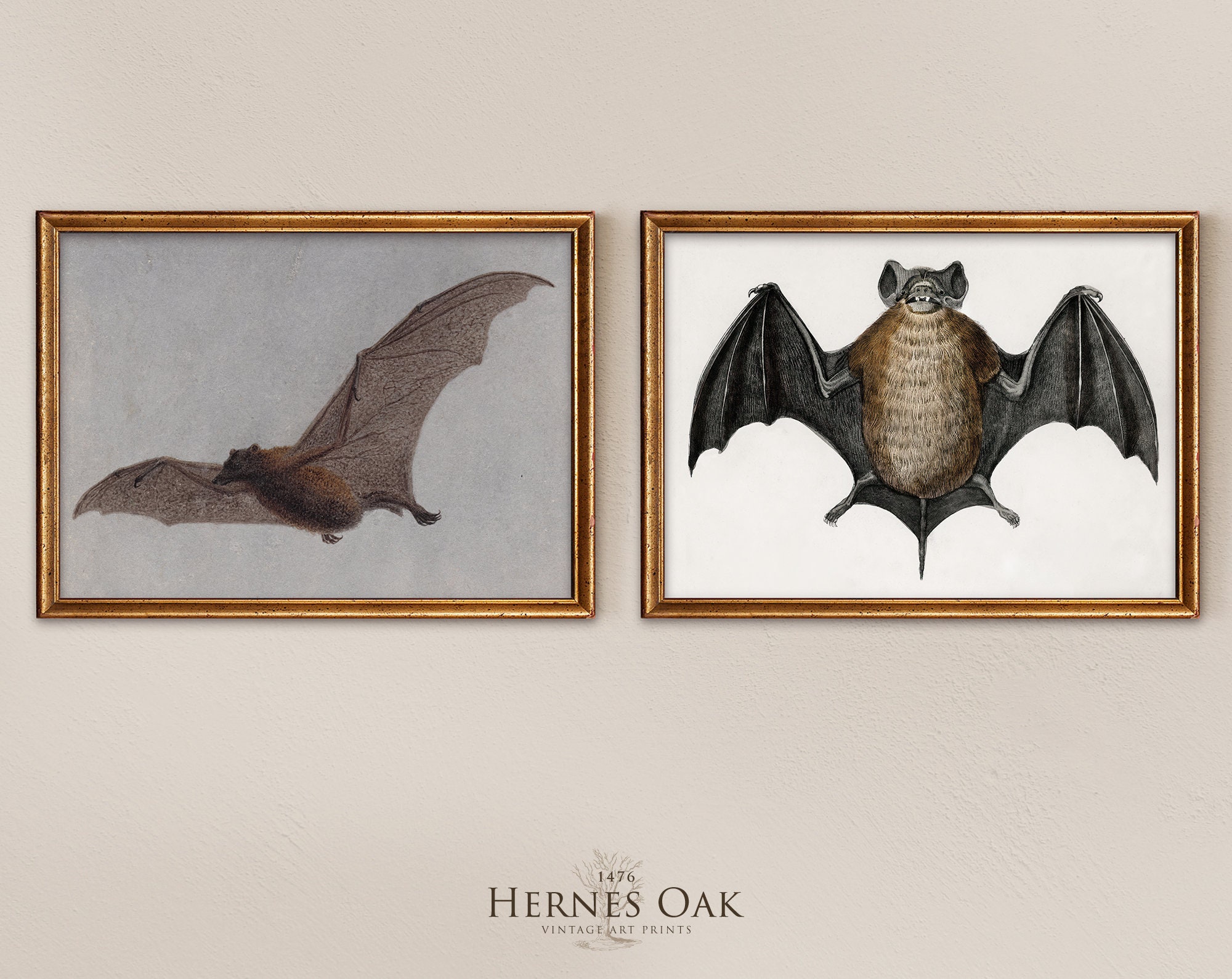 Vintage Bat Print Set, Gallery Wall Art, Dark Academia (digital ...