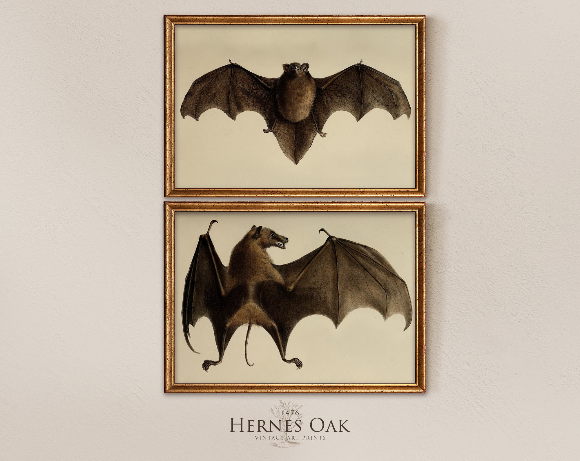 Vintage Bat Print Set, Gallery Wall Art, Dark Academia (digital ...