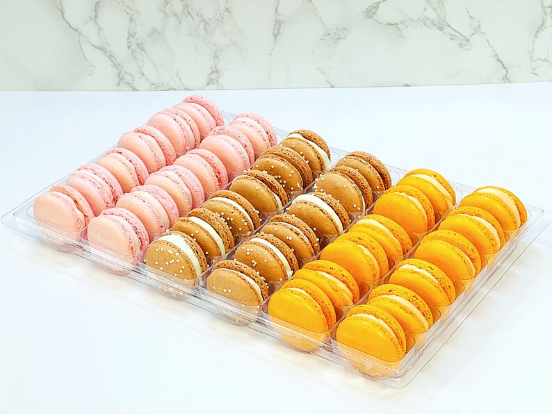 36 Cavities Macaron Clamshell PET Perfect for Macaron Ice Cream or Ice ...