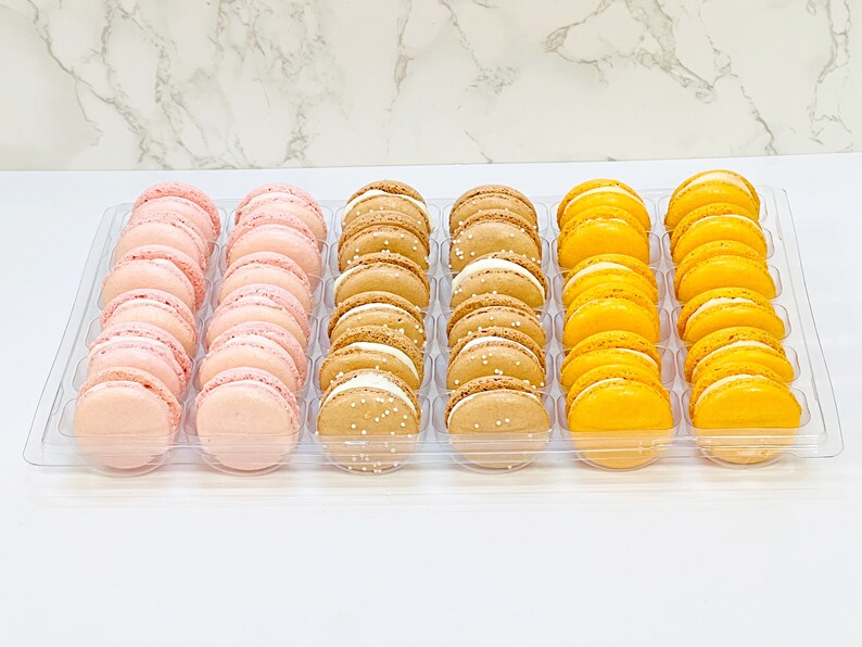 36 Cavities Macaron Clamshell PET Perfect for Macaron Ice Cream or Ice ...