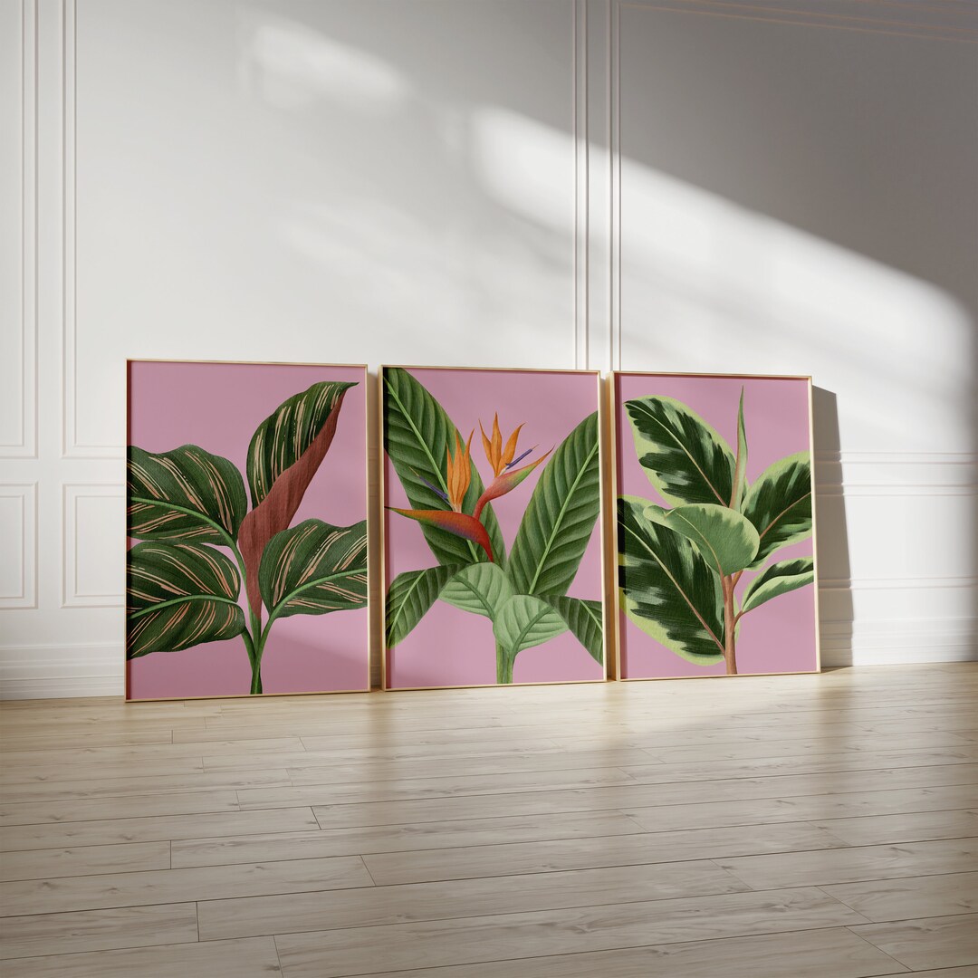 Tropical Plant Botanical Print - Set of 3 - Maximalism Decor - Eclectic ...