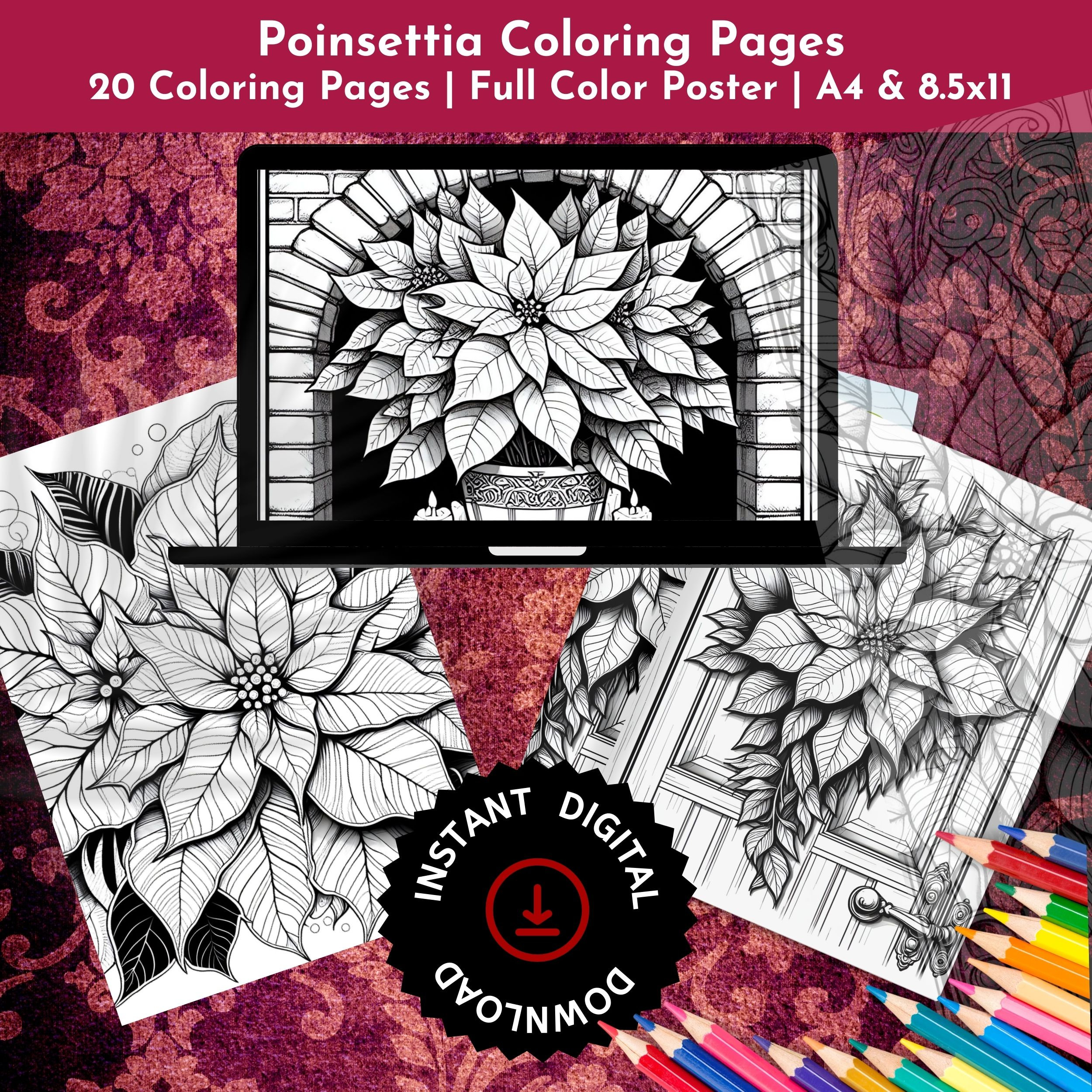 Poinsettia Holiday Coloring Pages, Adults & Kids Colouring Book ...