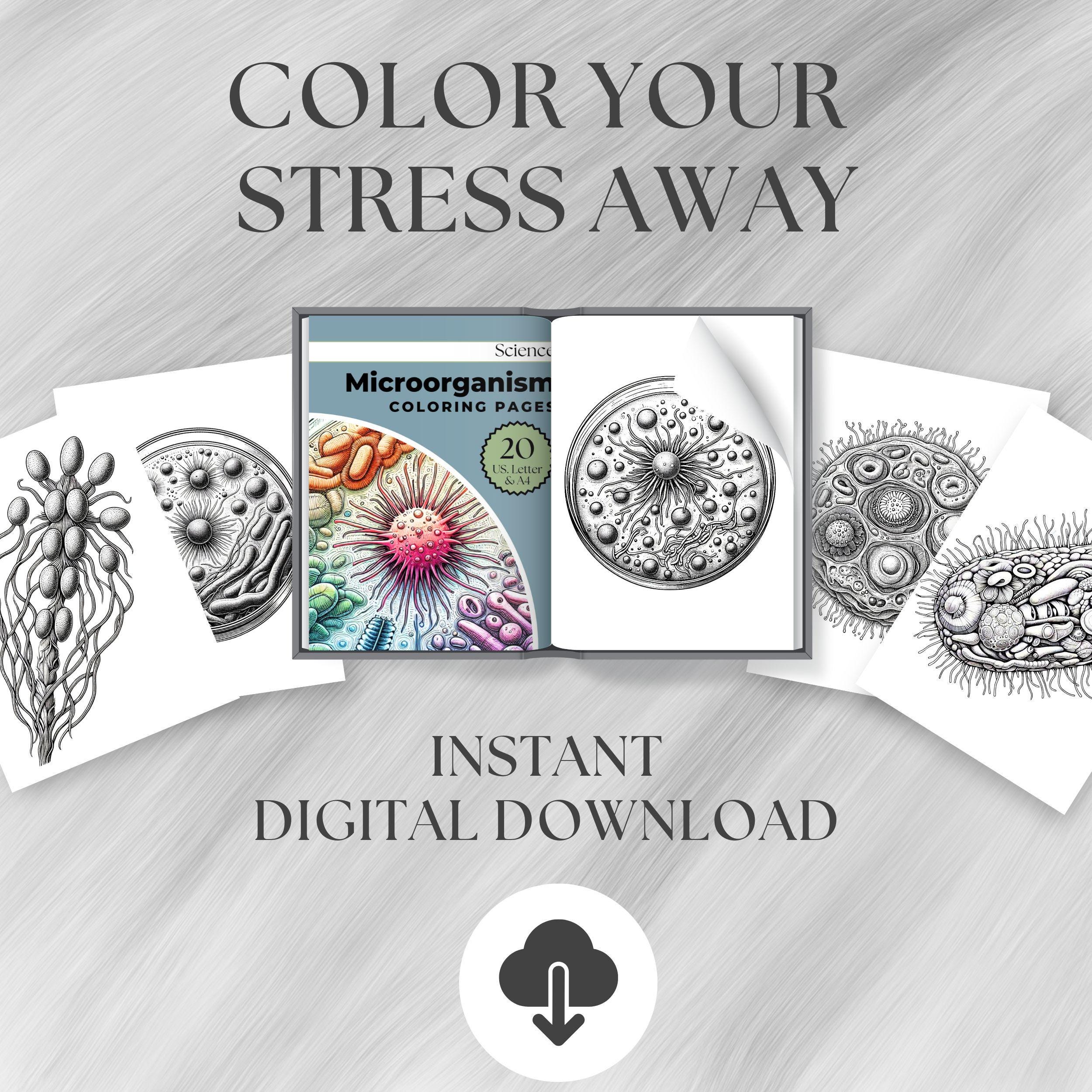 Microorganisms Coloring Pages for Adults Kids, Fun Science Grayscale ...