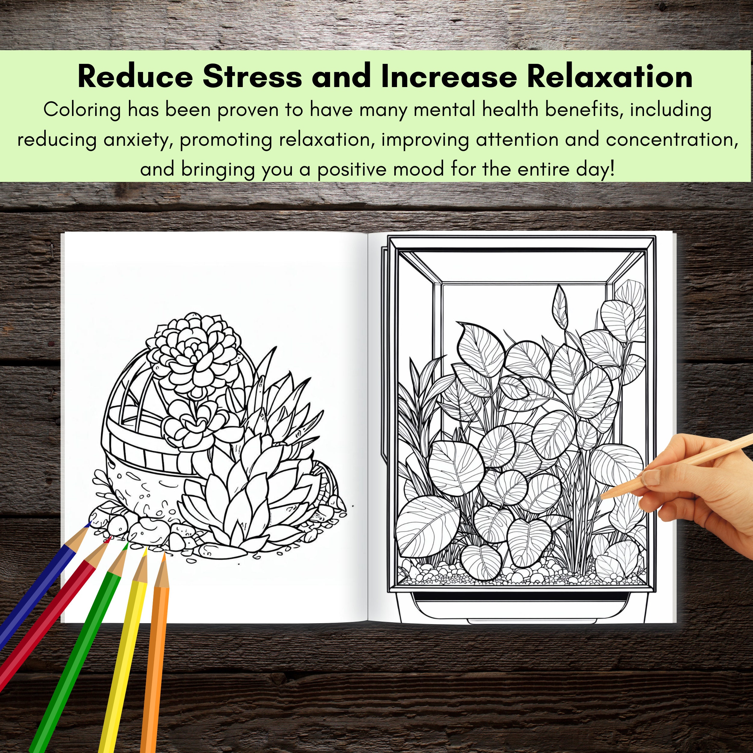 Terrarium Coloring Pages, Mindfulness, Adults and Kids Coloring Page ...