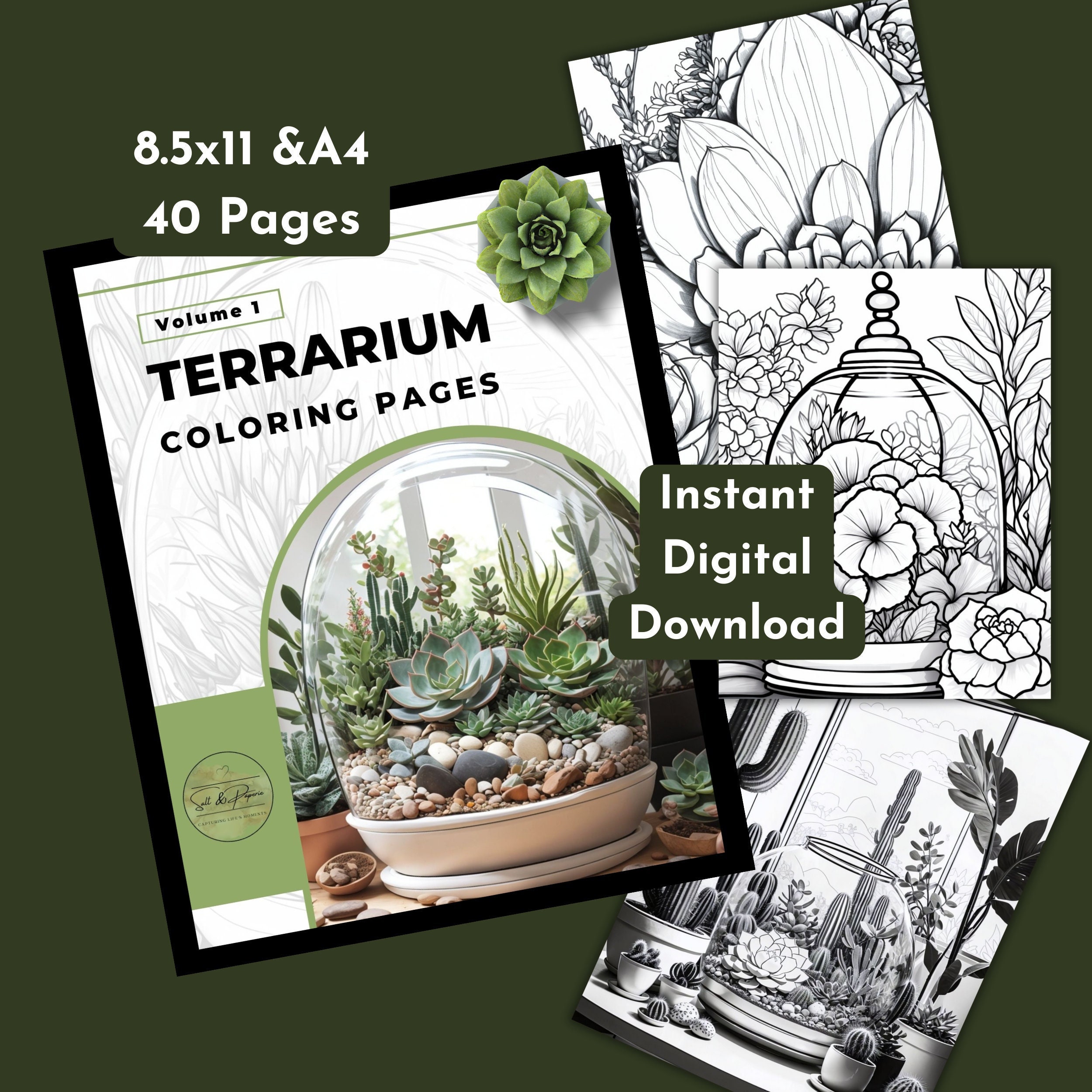 Terrarium Coloring Pages, Mindfulness, Adults and Kids Coloring Page ...