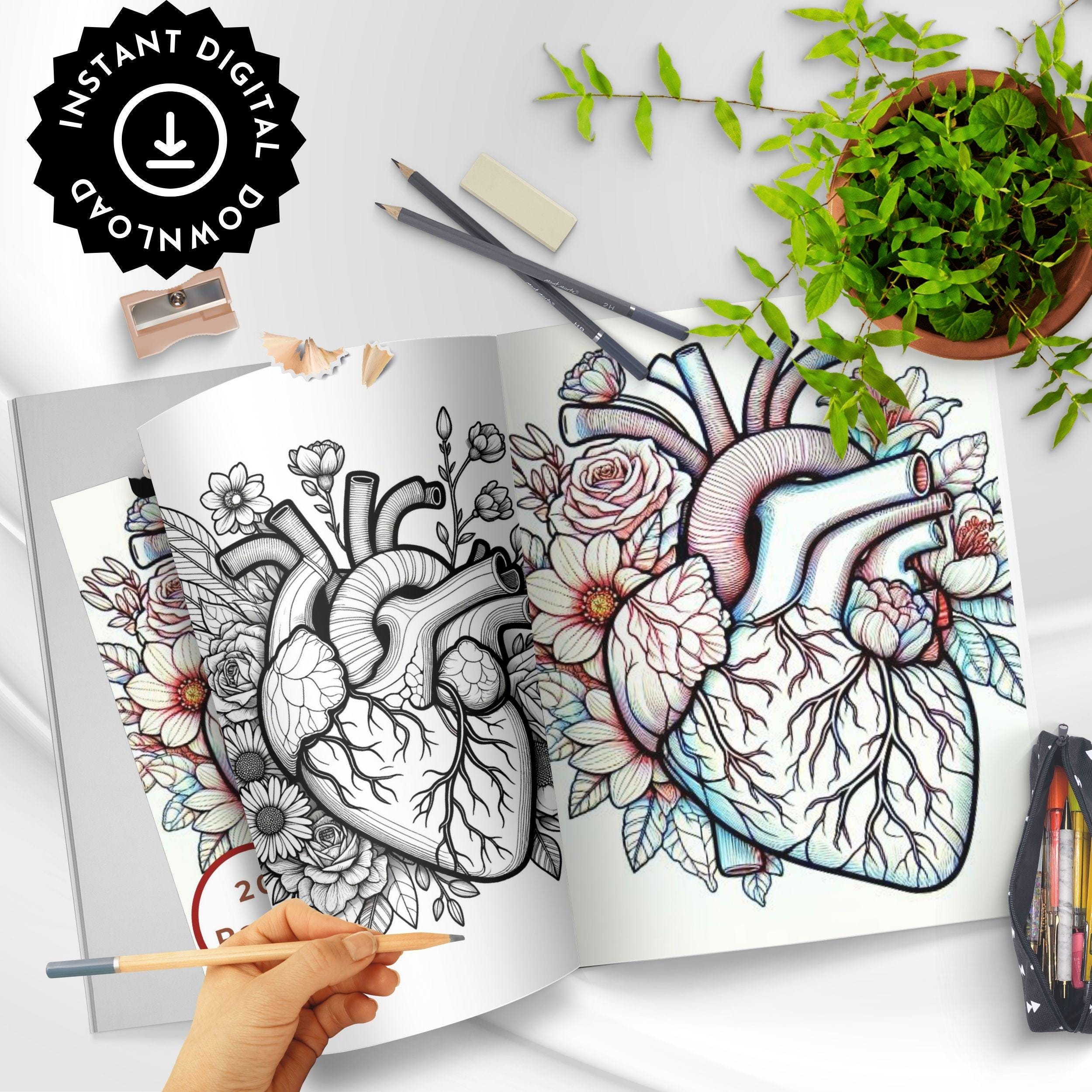 Anatomical Heart Coloring Pages, Printable Anatomy Art for Adults ...