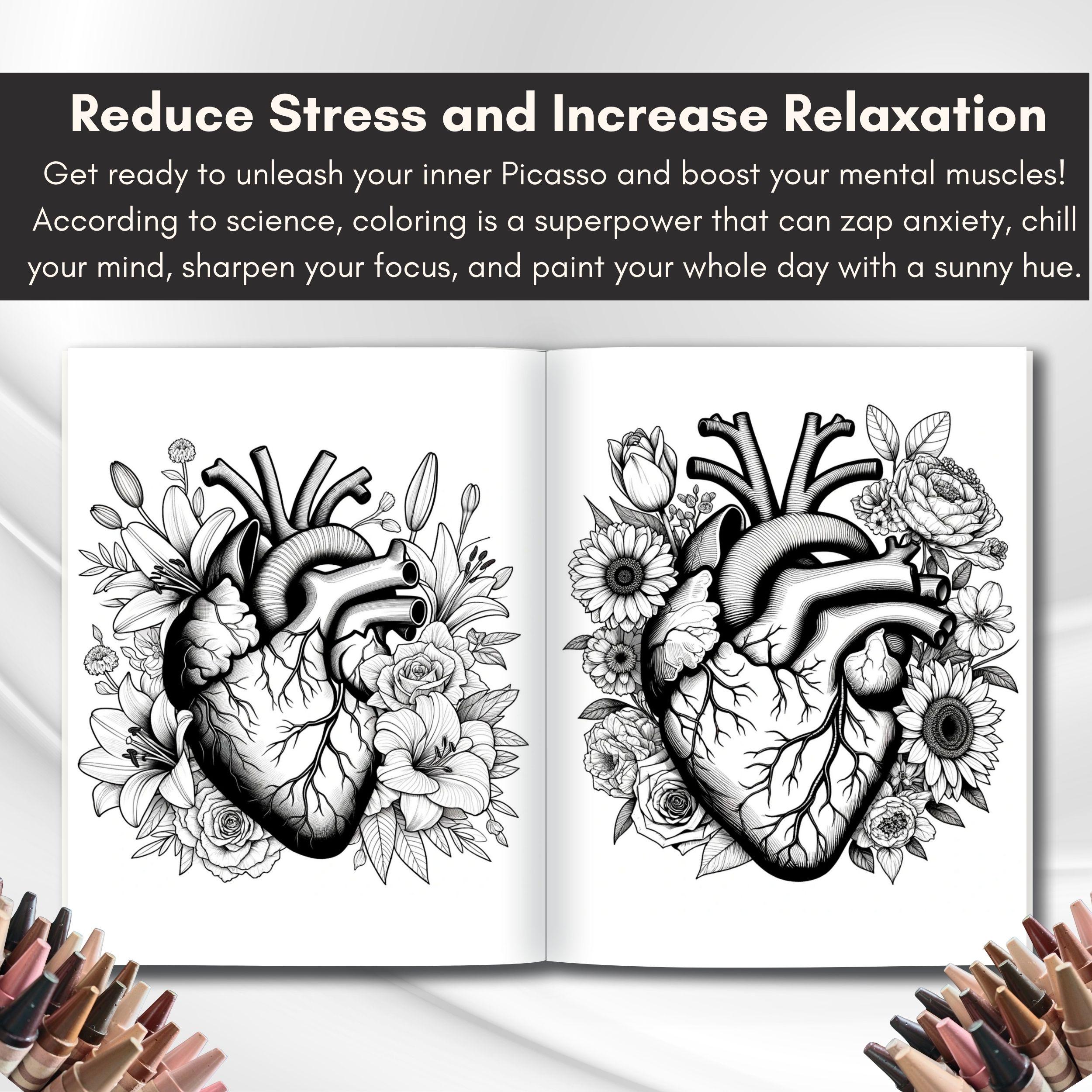 Anatomical Heart Coloring Pages, Printable Anatomy Art for Adults ...