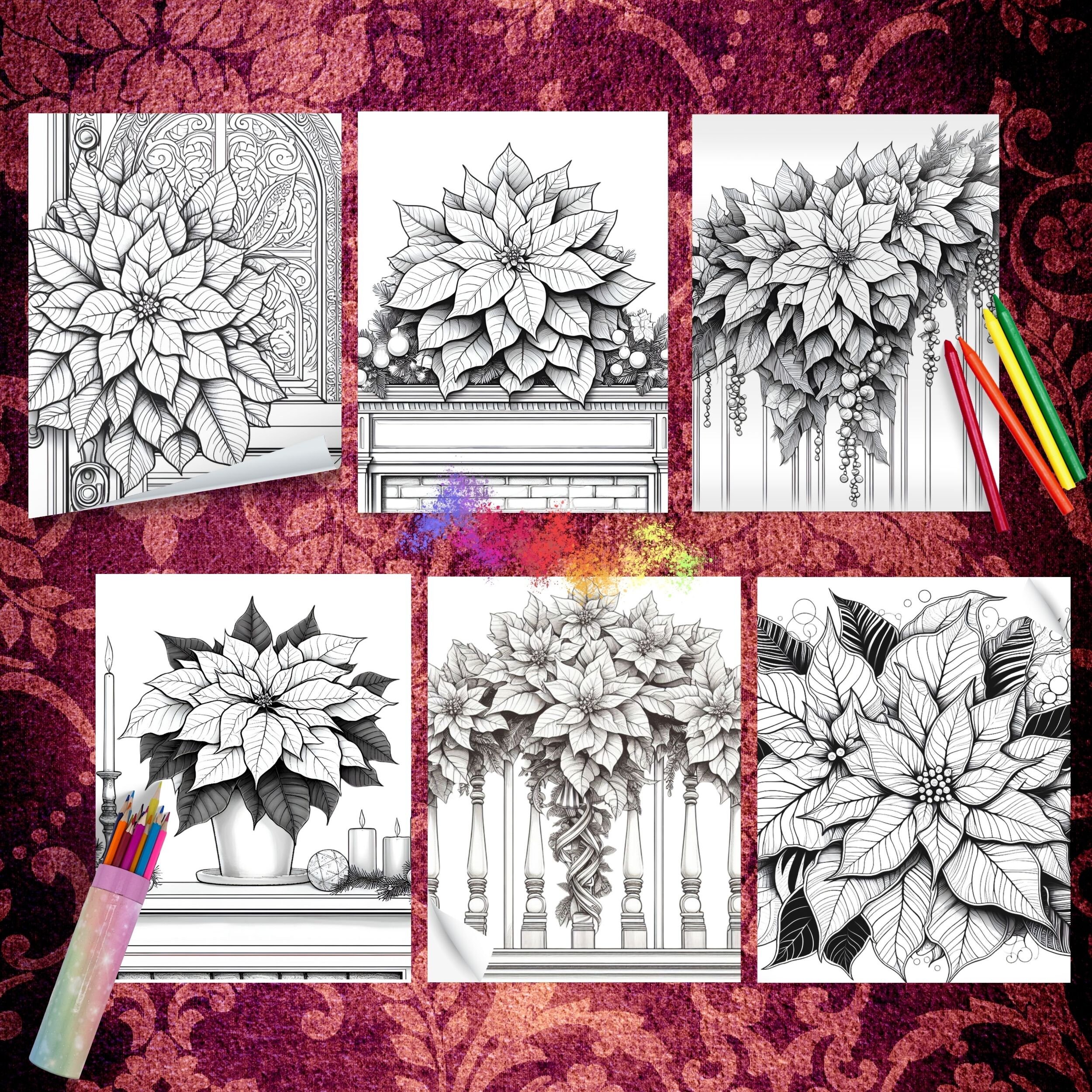 Poinsettia Holiday Coloring Pages, Adults & Kids Colouring Book ...