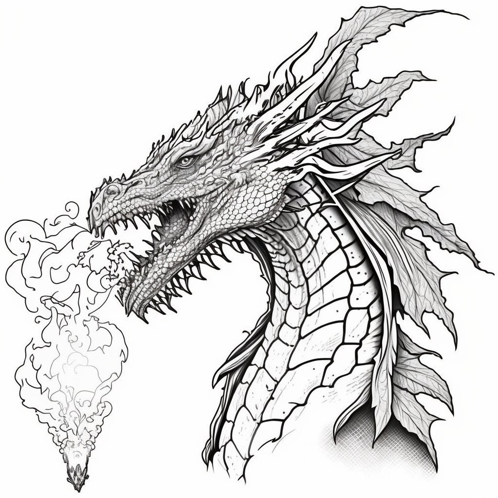 Medieval Dragon Pictures Coloring Home Sketch Coloring Page