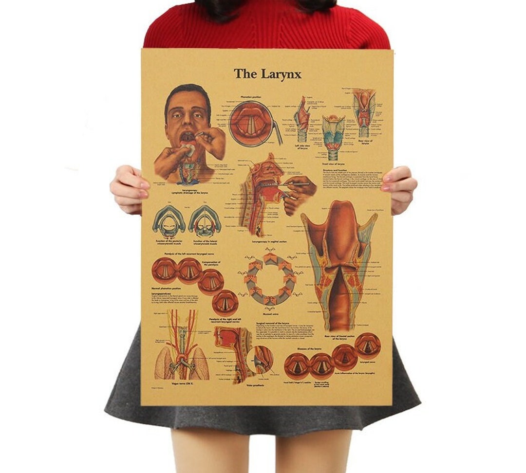 Retro Vintage Poster Larynx, Larynx Mural, Deco Anatomy - Etsy