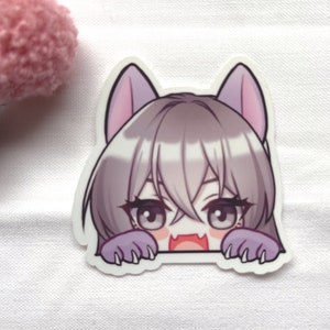 HSR Glossy Honkai Star Rail Vinyl Sticker - Etsy