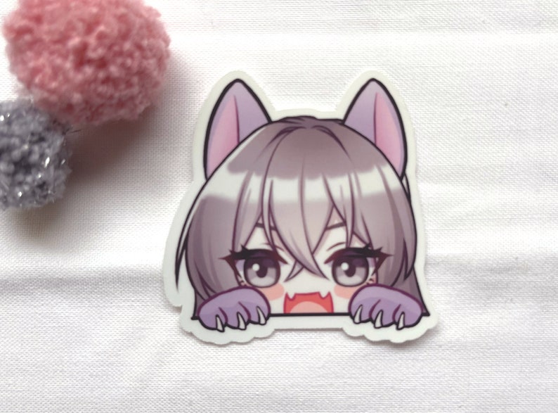 HSR Glossy Honkai Star Rail Vinyl Sticker - Etsy