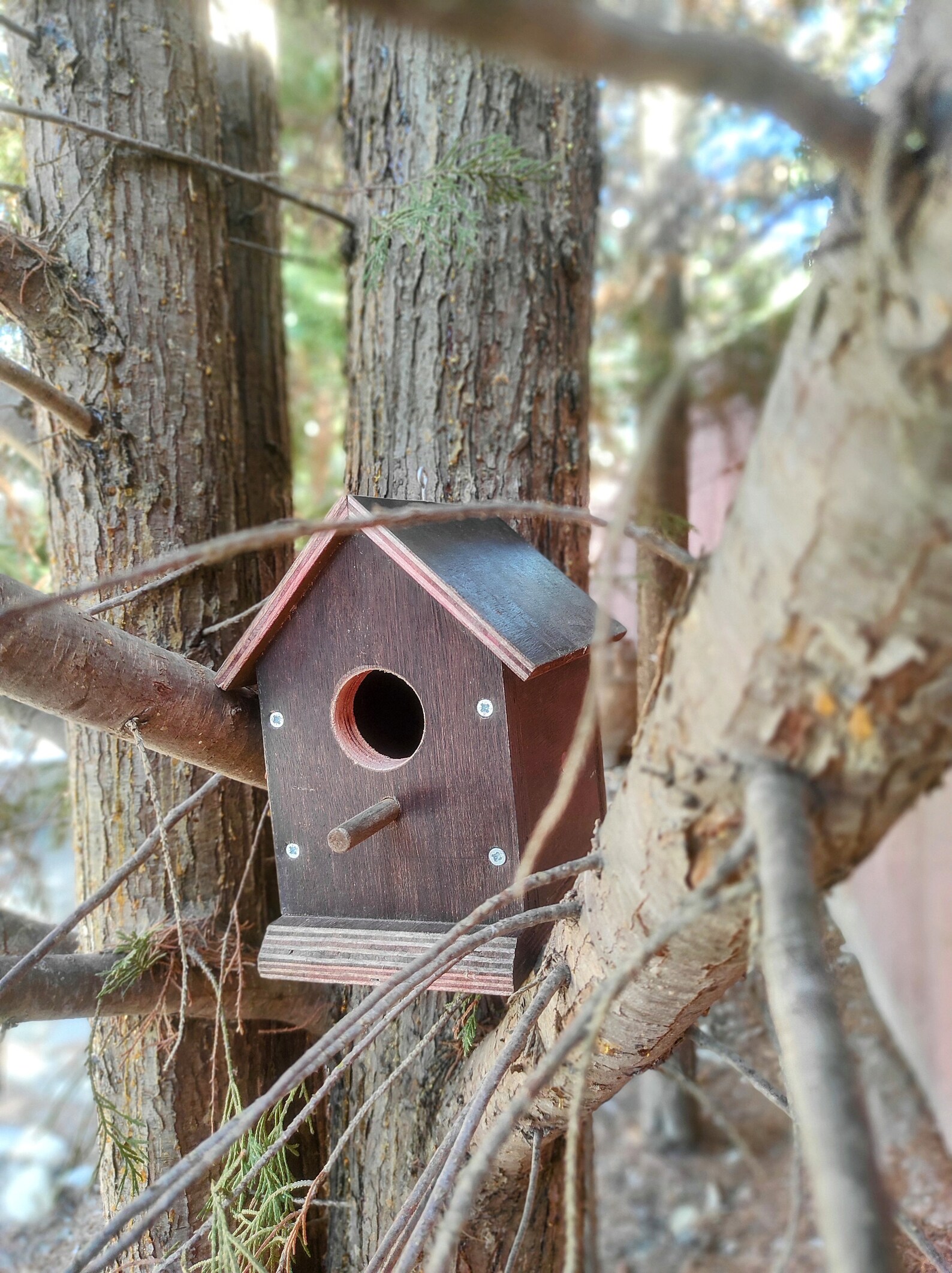 Bird House Plans for Bird House for Birds Plans Woodworking Plans for ...