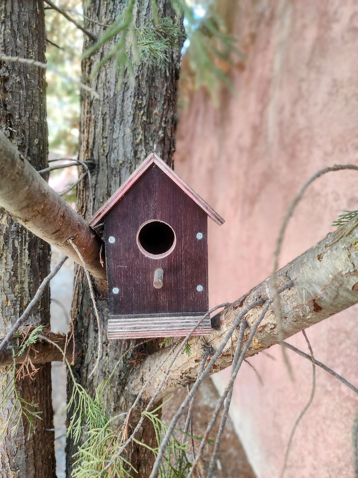 Bird House Plans for Bird House for Birds Plans Woodworking Plans for ...