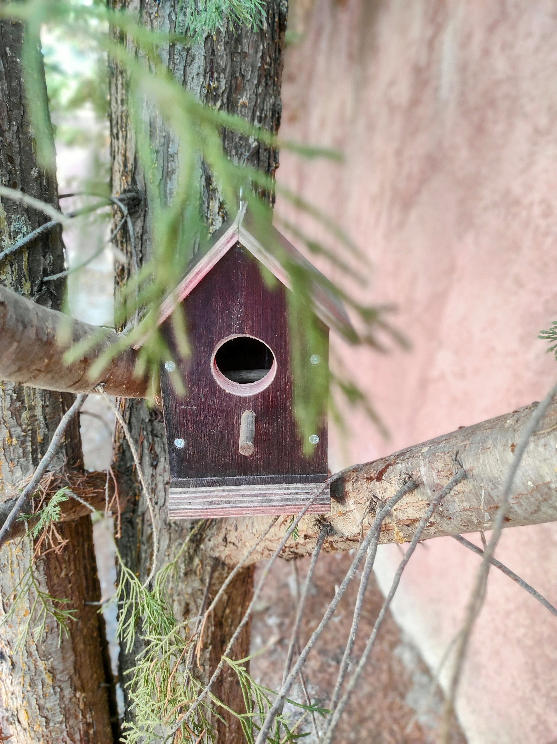 Bird House Plans for Bird House for Birds Plans Woodworking Plans for ...