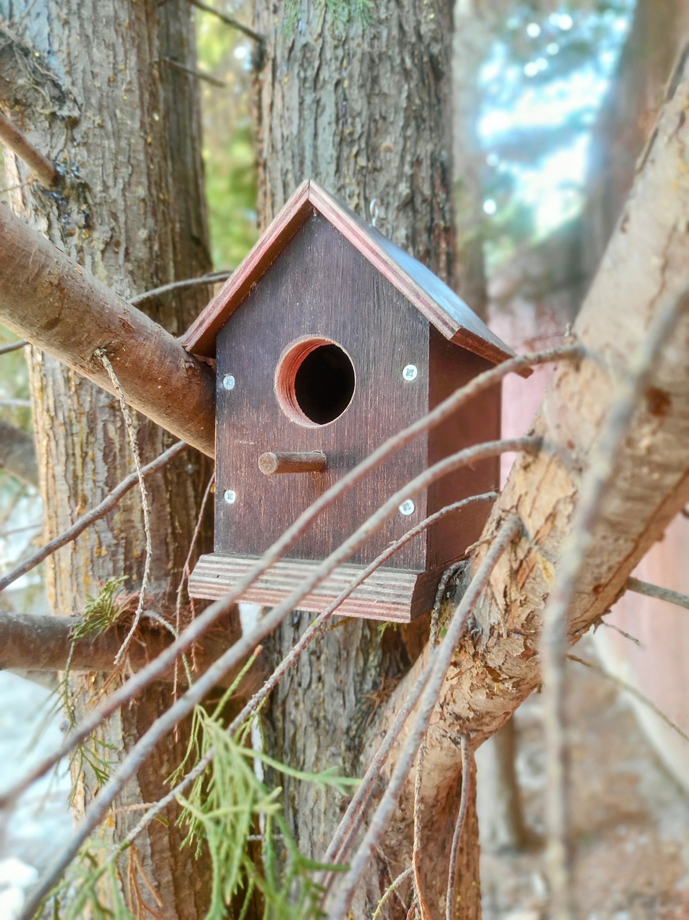 Bird House Plans for Bird House for Birds Plans Woodworking Plans for ...