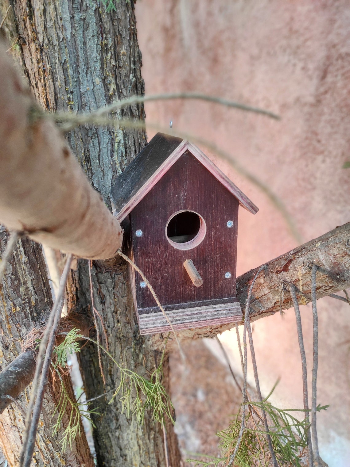 Bird House Plans for Bird House for Birds Plans Woodworking Plans for ...