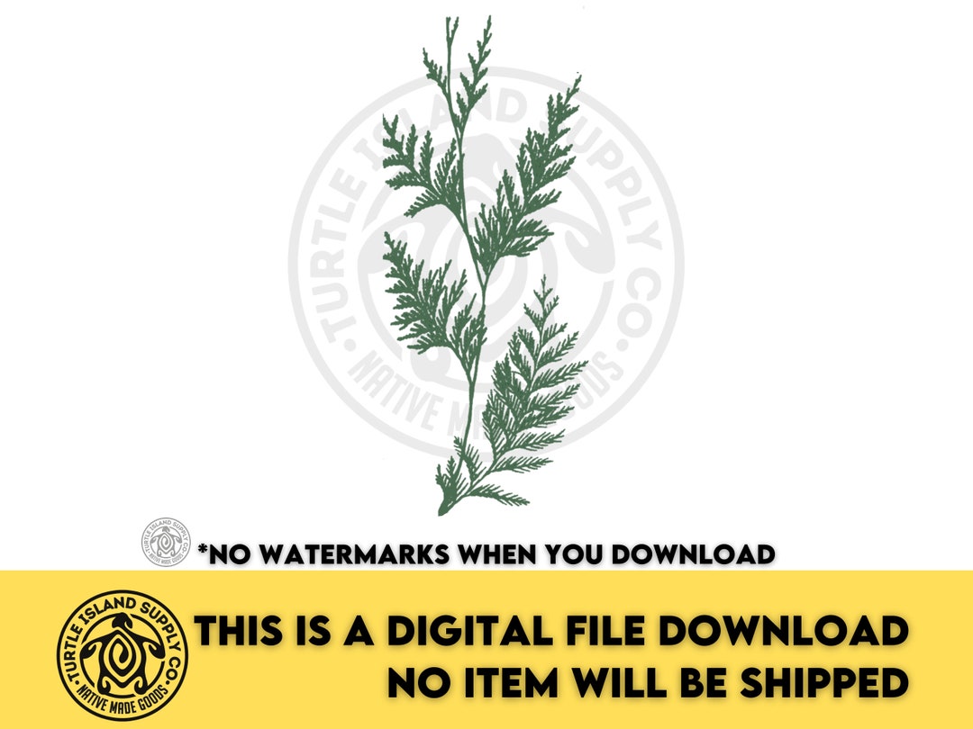 Indigenous Cedar Design: PNG, SVG, JPG Digital File (instant Download ...
