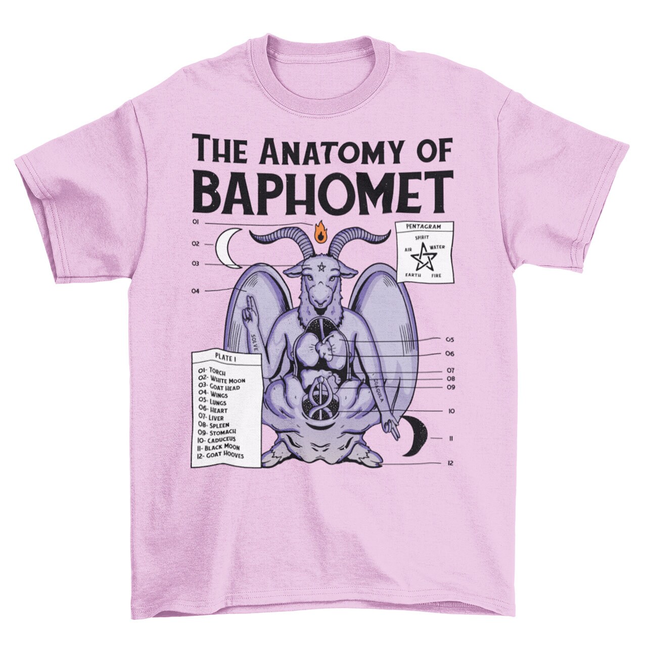 The Anatomy of Baphomet T-shirt - Etsy