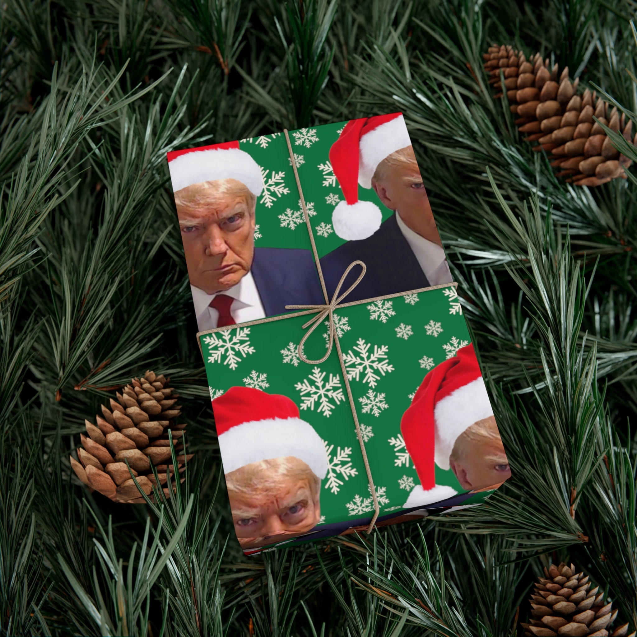 Funny Trump Mugshot Wrapping Paper, Christmas Themed Satire, Ideal for ...