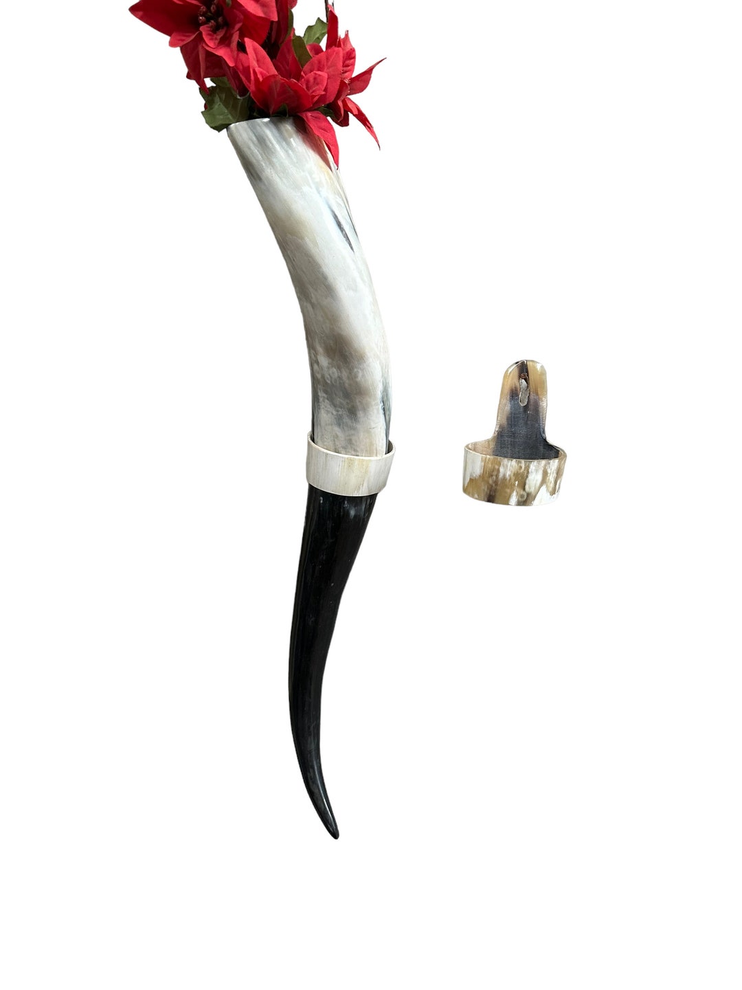 Wall Hanging Longhorn With Holder / Brace, Real Cow Horn Animal Art ...