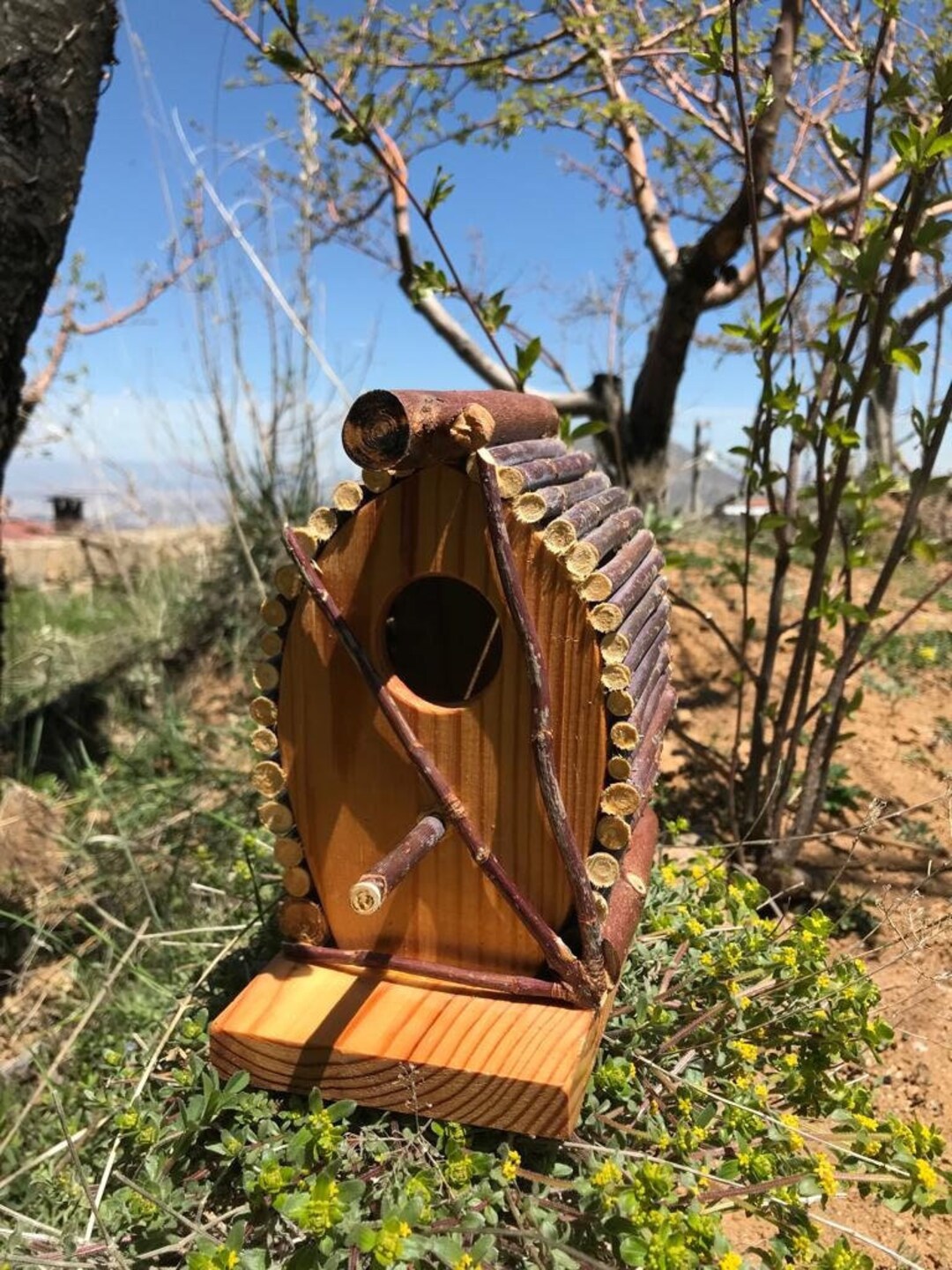 Garden Design Natural Wood Textured Tree Branch Facade Detail ...