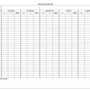 Baseball Coach Toolkit - Hitting Spray Chart and Pitching Charts. - Etsy