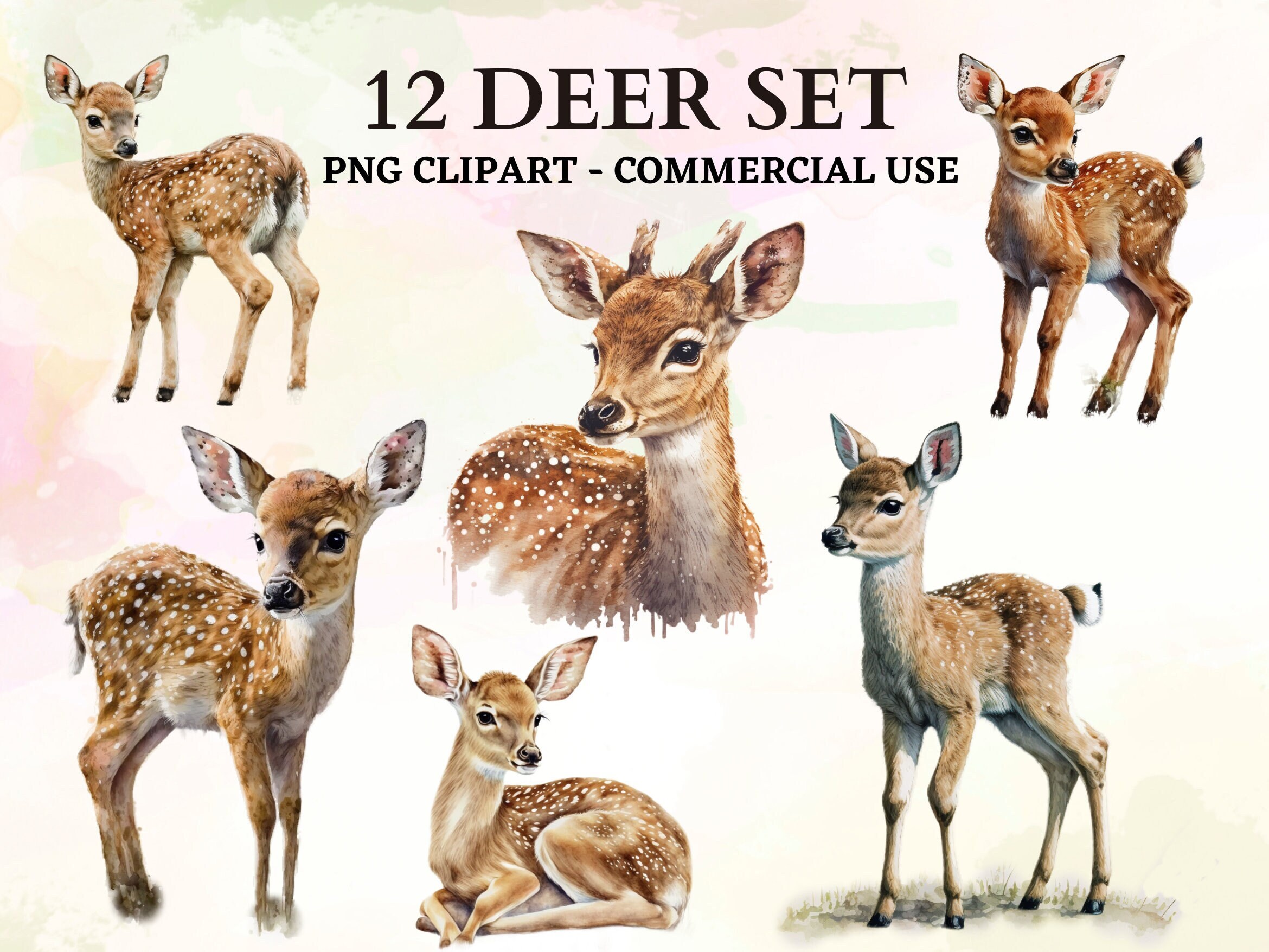 12 Deer Watercolor Set Clipart - Commercial Use - Cute Deer Clipart - Etsy