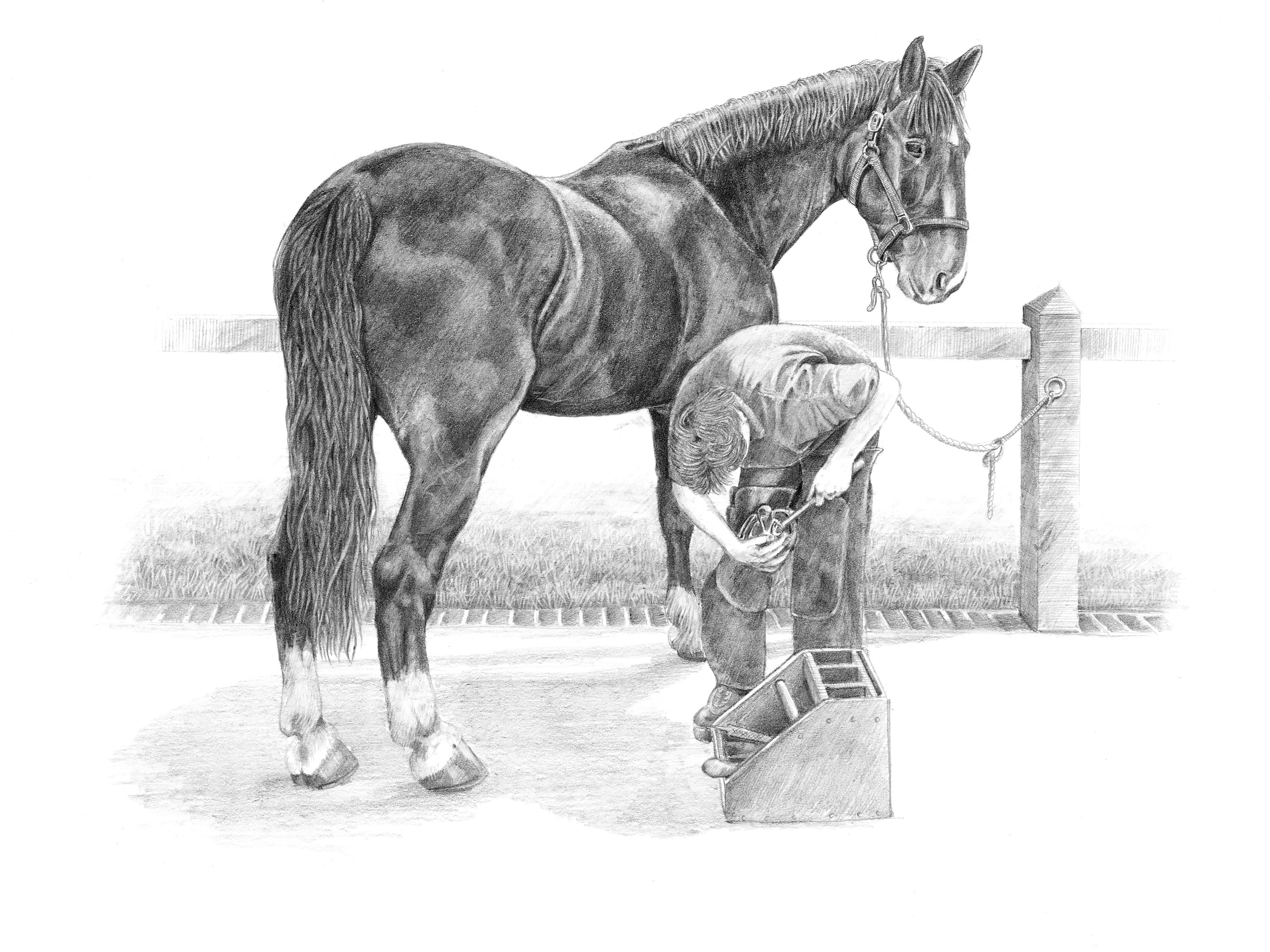 Farrier at Work Pencil Drawing Print, Horse and Farrier Art, Wall Decor ...