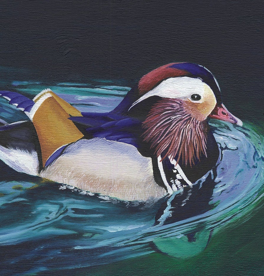 Mandarin Duck Art Print, Duck on Water Art, Dark Blue Wall Art, Gift ...