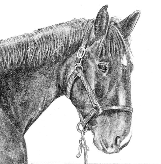 Farrier at Work Pencil Drawing Print, Horse and Farrier Art, Wall Decor ...