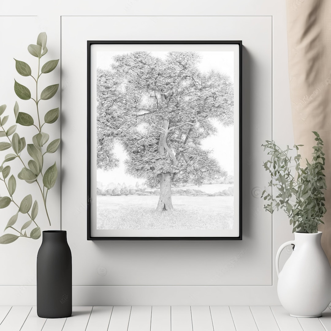 Oak Tree Pencil Drawing Art Print, Nature Wall Decor - Etsy