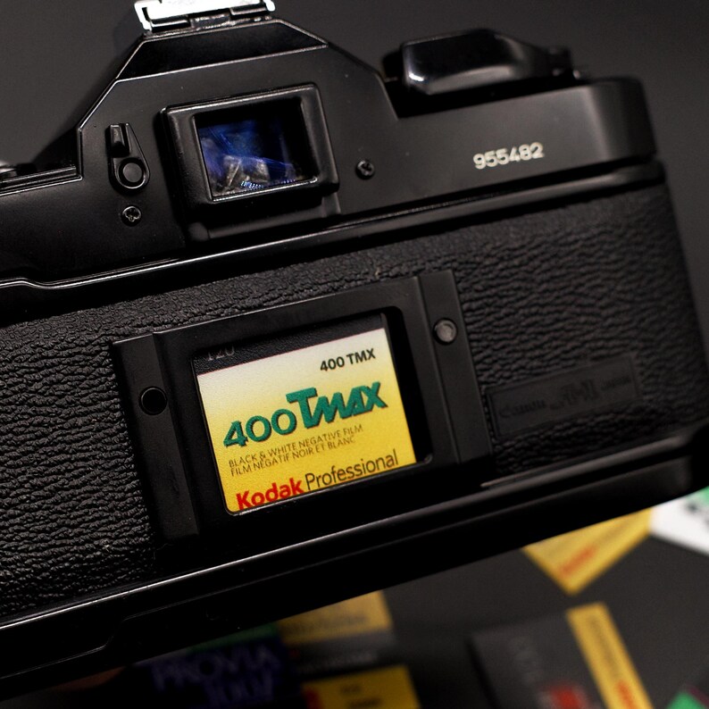 Film Stock Reminder Tabs – ISO Memo Cards & Sticky Inserts for Analog ...
