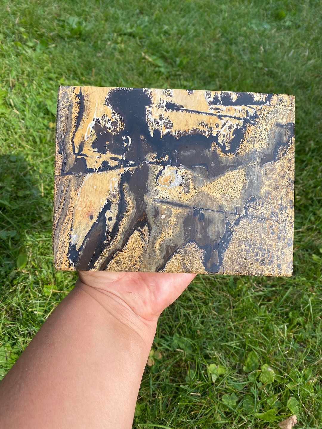 Picture Jasper Slab Slice - Etsy