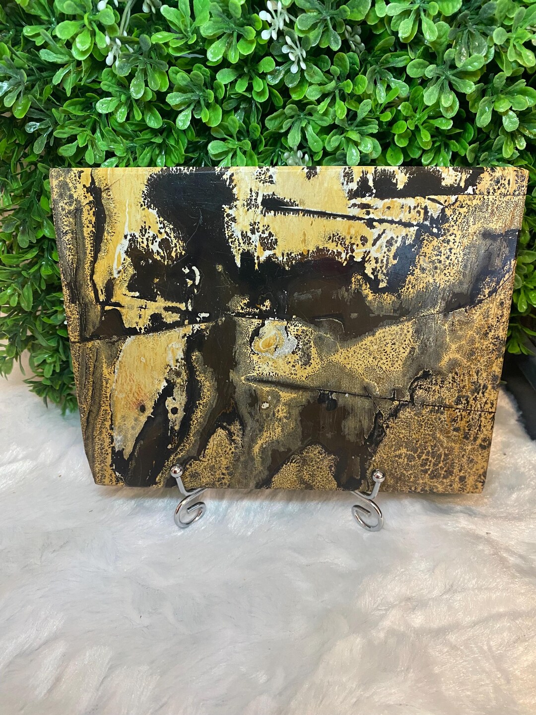 Picture Jasper Slab | Picture Jasper Slice - Etsy