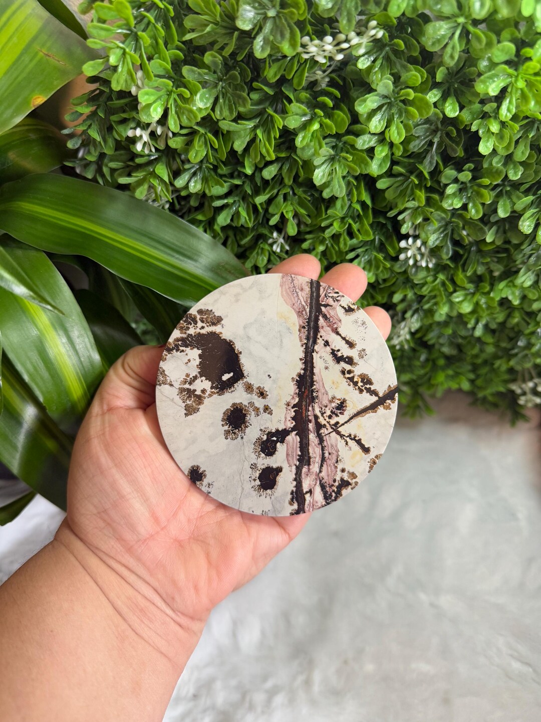 Picture Jasper Slab | Picture Jasper Slice | Picture Jasper Coaster ...