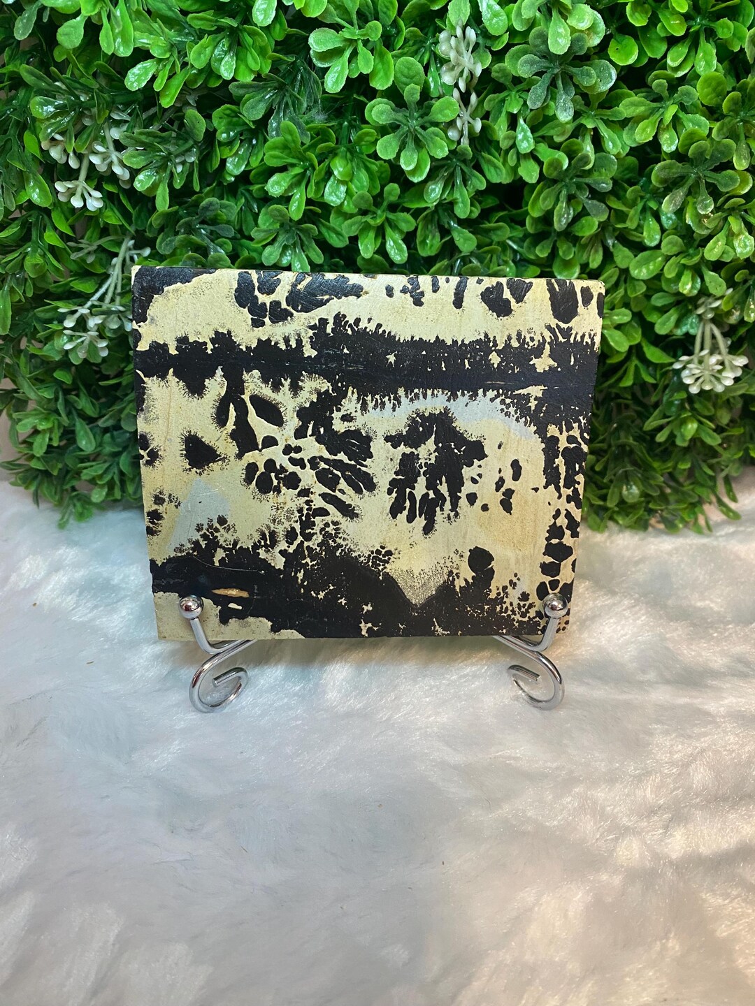 Picture Jasper Slab | Picture Jasper Slice - Etsy