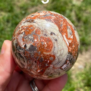 Money Agate Sphere | Leopard Sphere - Etsy