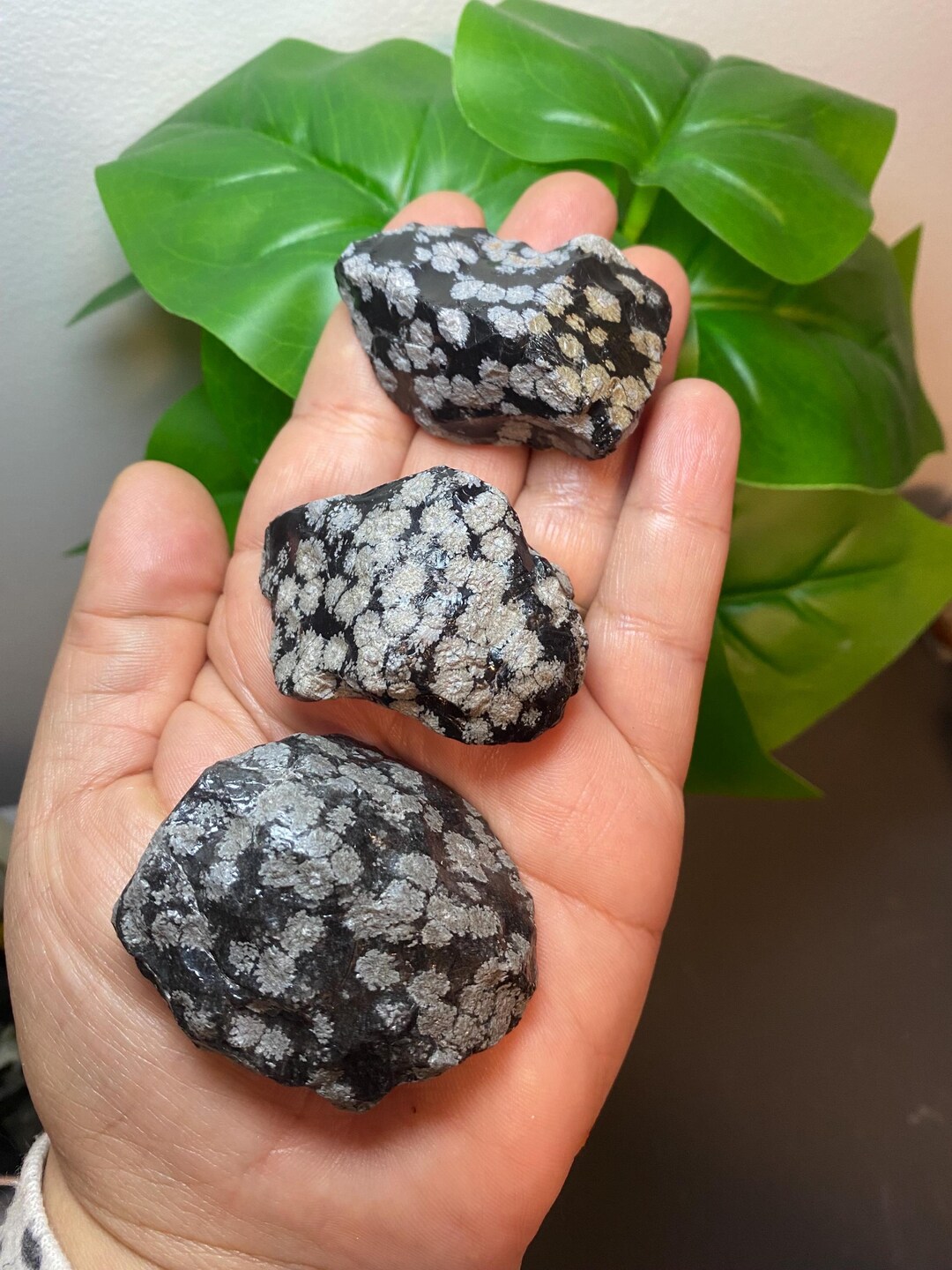 Snowflake Obsidian Specimens | Raw Snowflake Obsidian Specimens - Etsy