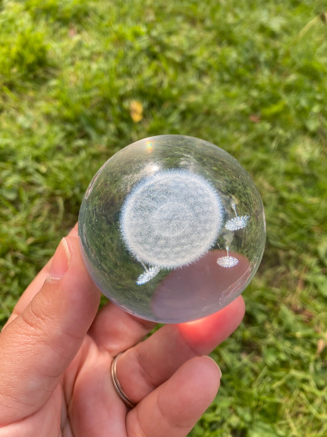 Clear Glass Translucent Dandelion Sphere - Etsy