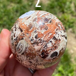 Money Agate Sphere | Leopard Sphere - Etsy