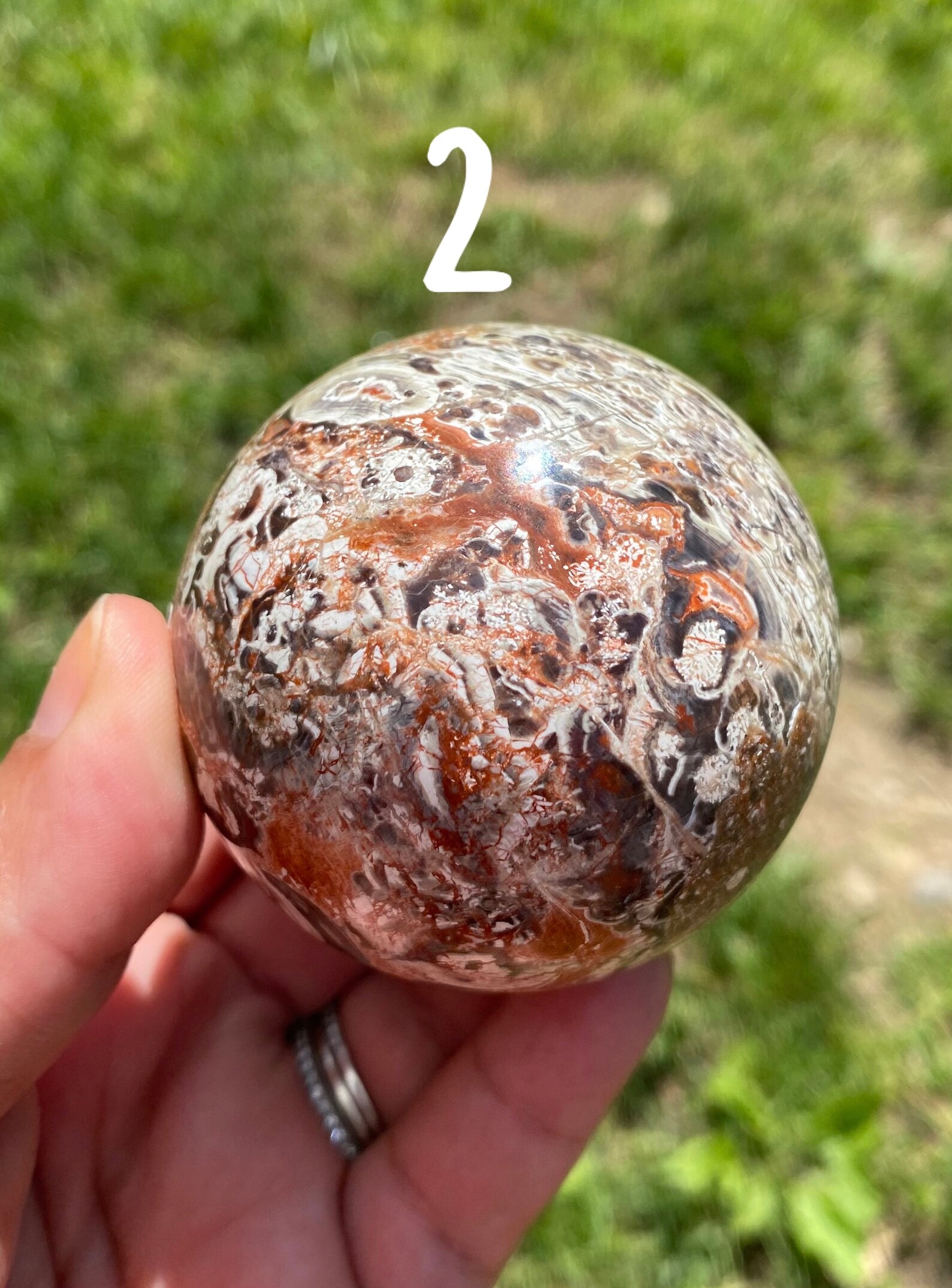 Money Agate Sphere | Leopard Sphere - Etsy