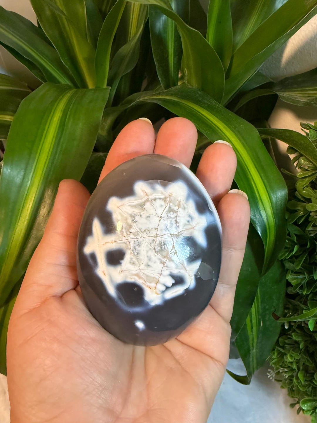 Large Orca Agate Palm Stone | Orca Agate Palm Stone - Etsy