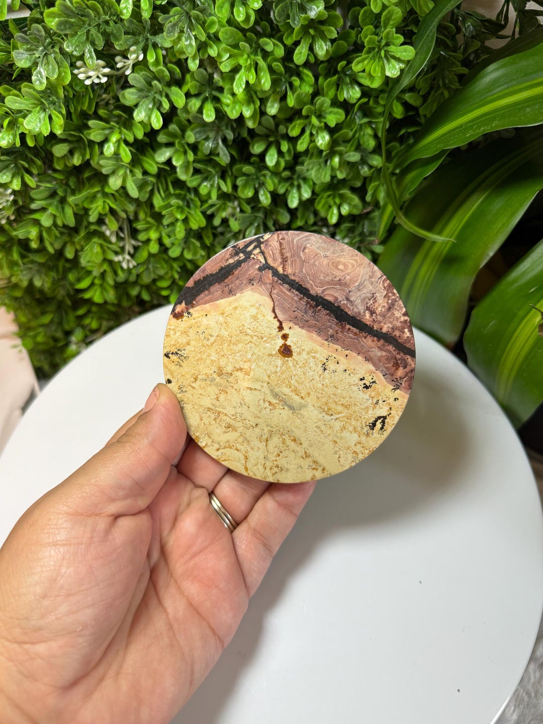 Picture Jasper Slab | Picture Jasper Slice | Picture Jasper Coaster ...